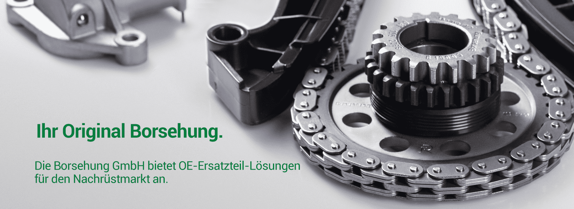Startseite - Borsehung